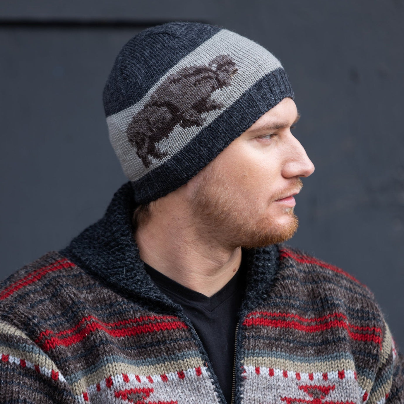 Buffalo Beanie - Cozy Knit with Fleece Lining | Outdoor-Inspired – Lost ...